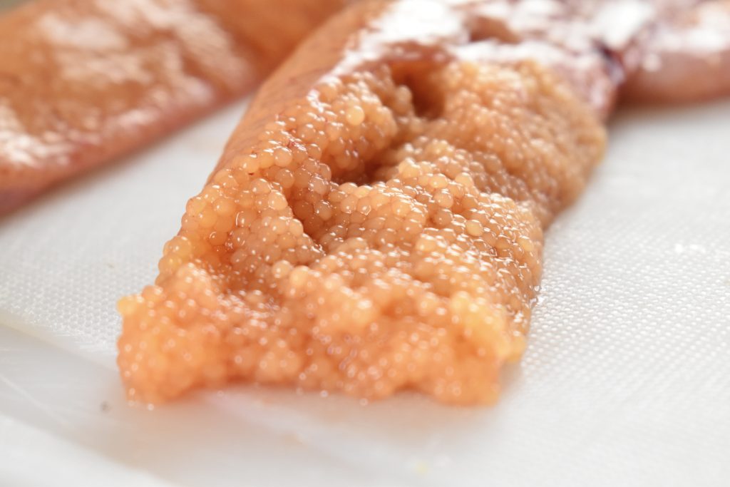 The Intrepid Eater - How to Make Cured Pike Roe