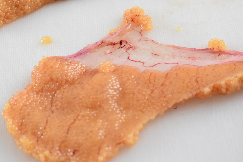 The Intrepid Eater - How to Make Cured Pike Roe