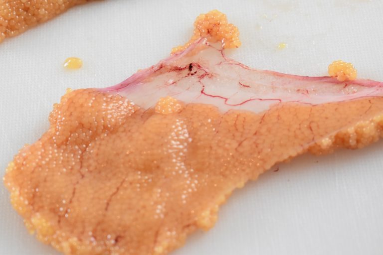 The Intrepid Eater - How to Make Cured Pike Roe