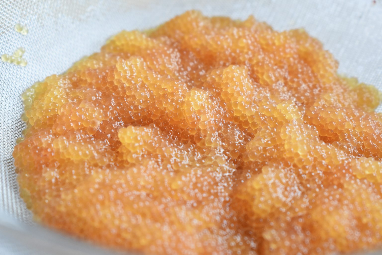 The Intrepid Eater - How to Make Cured Pike Roe