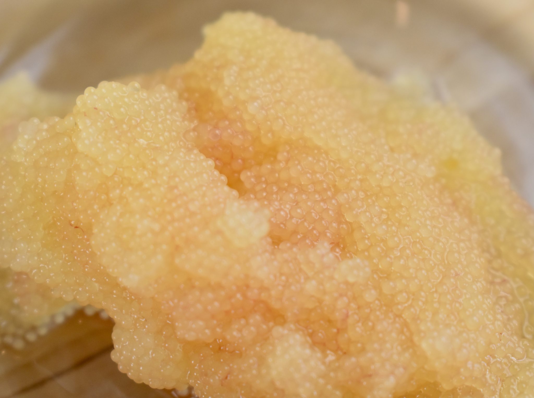 The Intrepid Eater - How to Make Cured Pike Roe