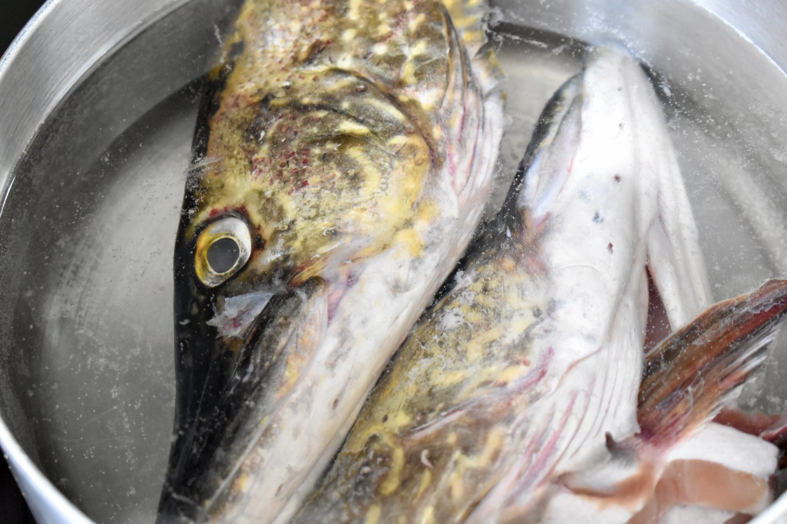 The Intrepid Eater - Recipes - Pike Head Rillettes