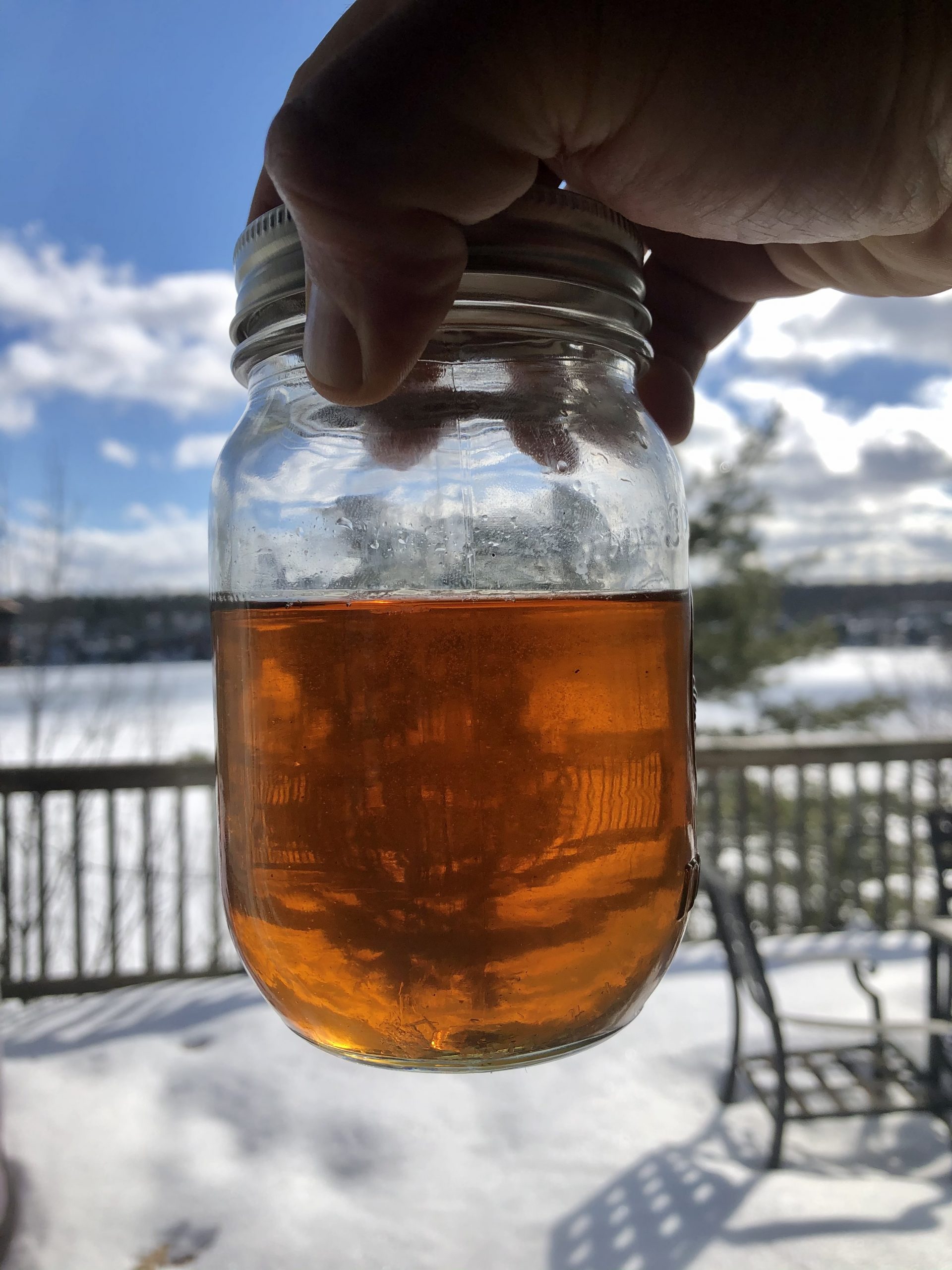 The Intrepid Eater - Recipes - How to Make Hickory Syrup