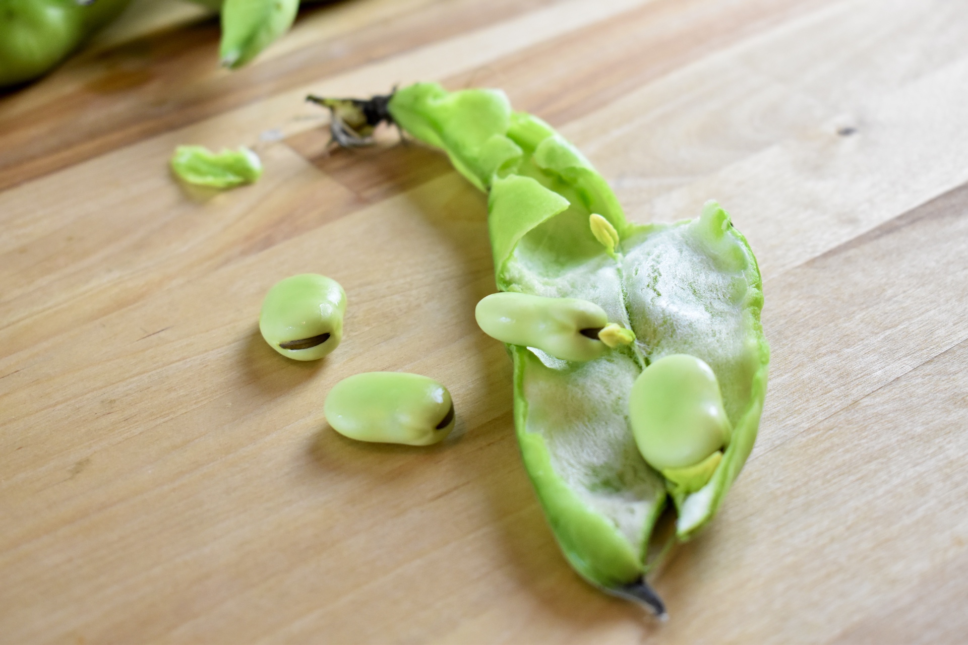 How to Prepare Fava Beans - The Intrepid Eater