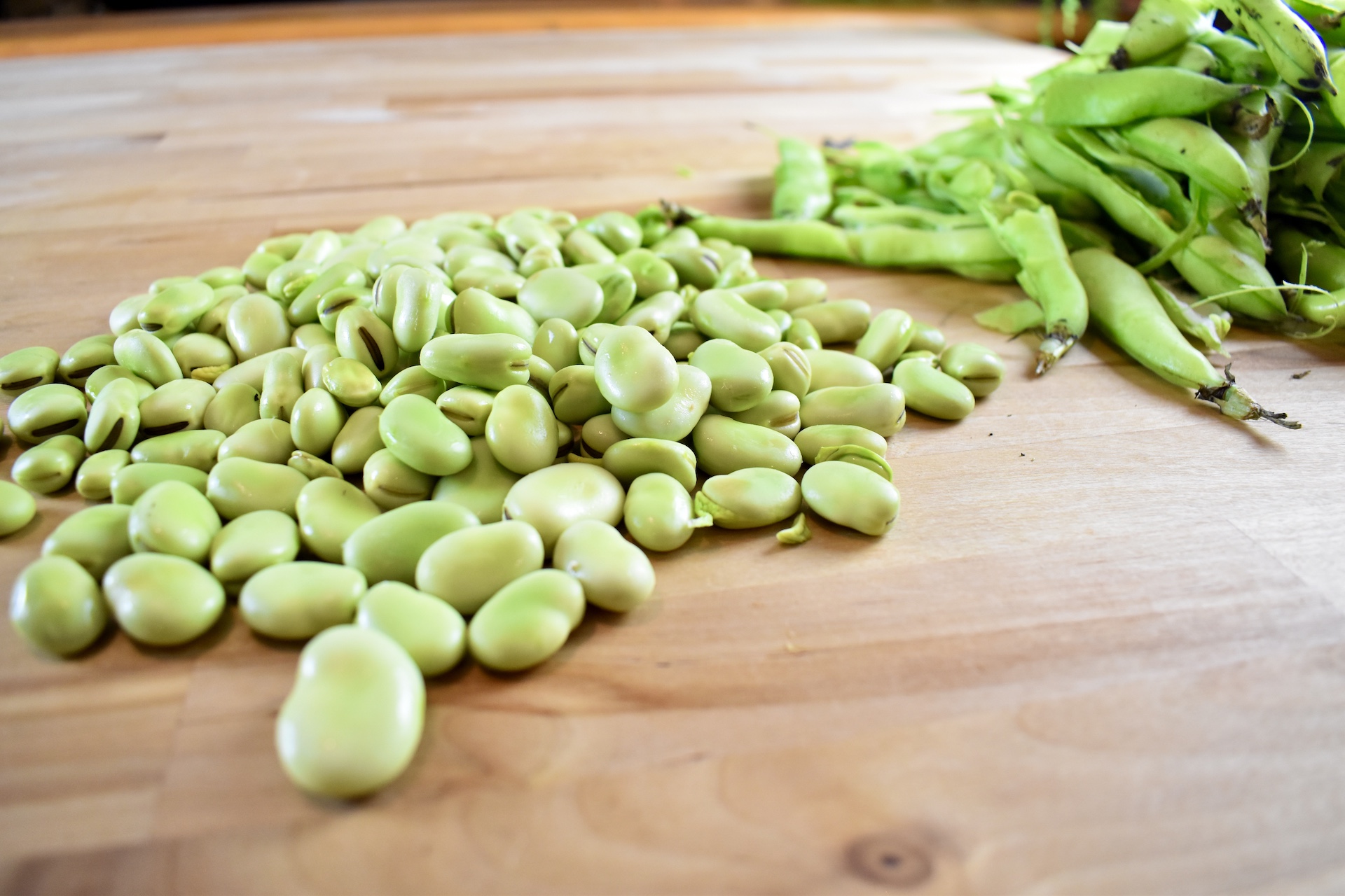 How to Prepare Fava Beans - The Intrepid Eater