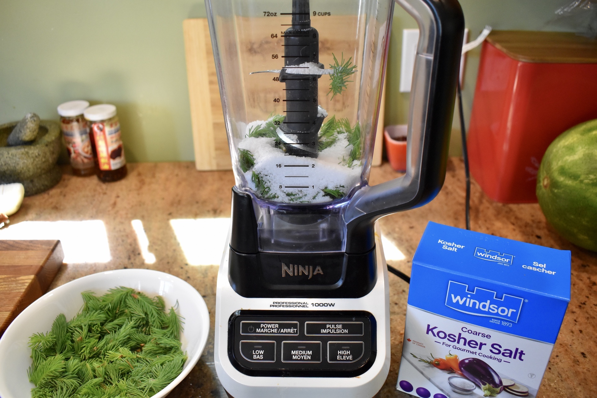 How to Make Spruce Salt - Recipes - The Intrepid Eater