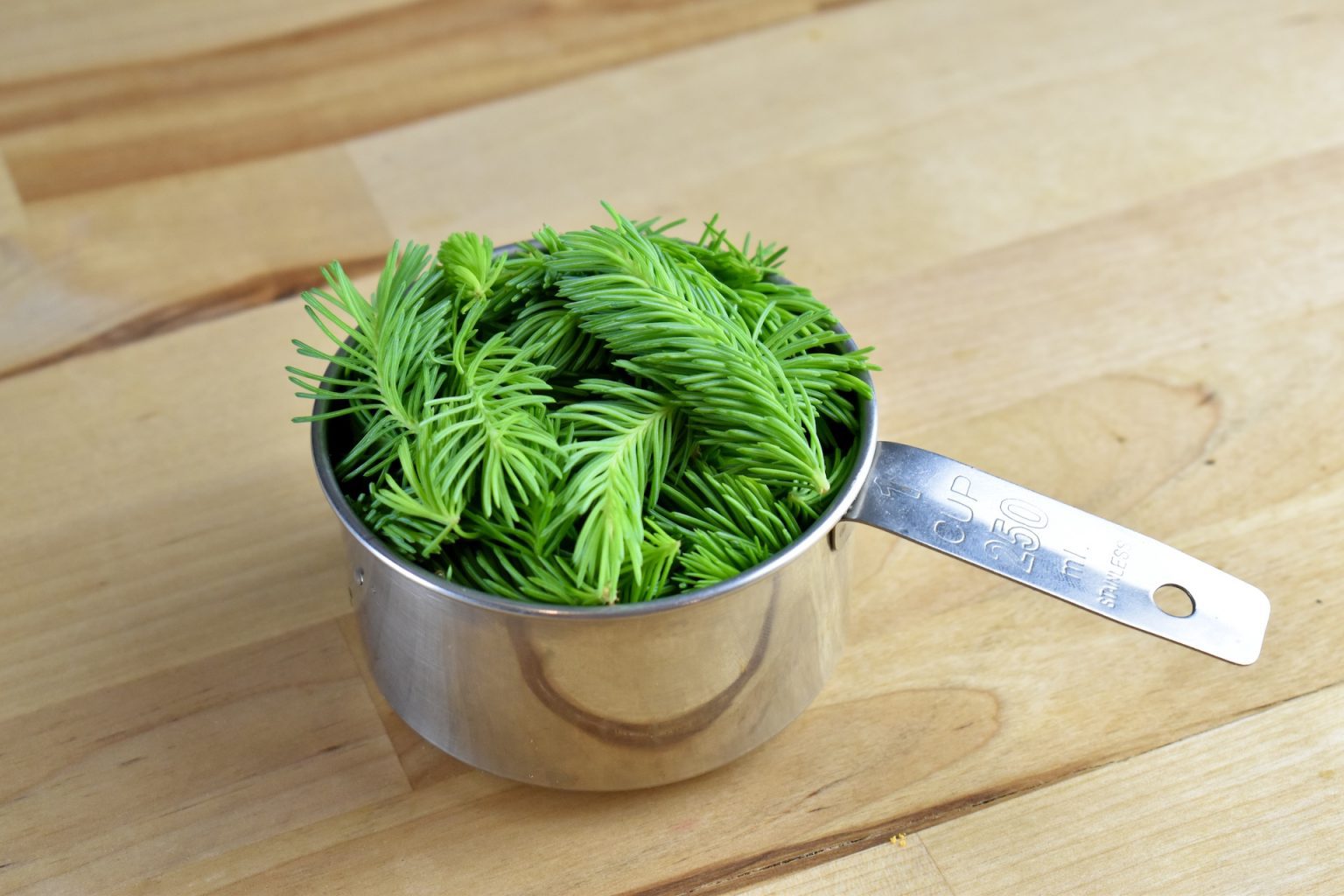 Spruce Tip Syrup - Recipes - The Intrepid Eater
