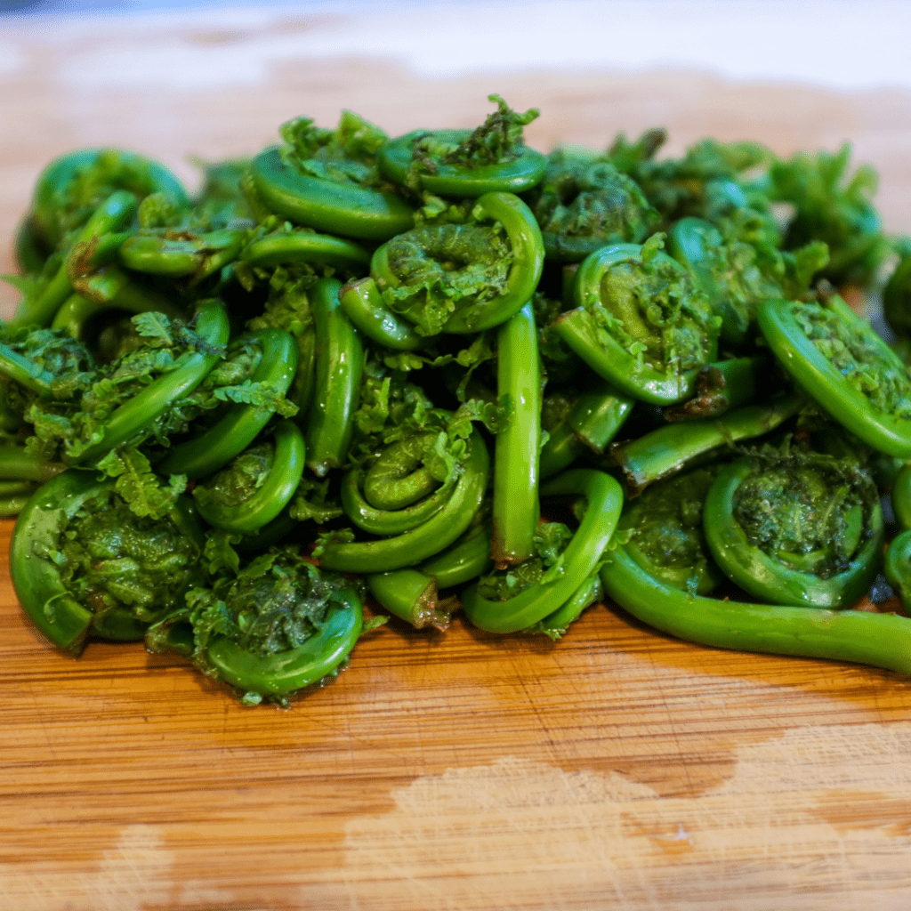 How to Forage for Fiddleheads - The Intrepid Eater