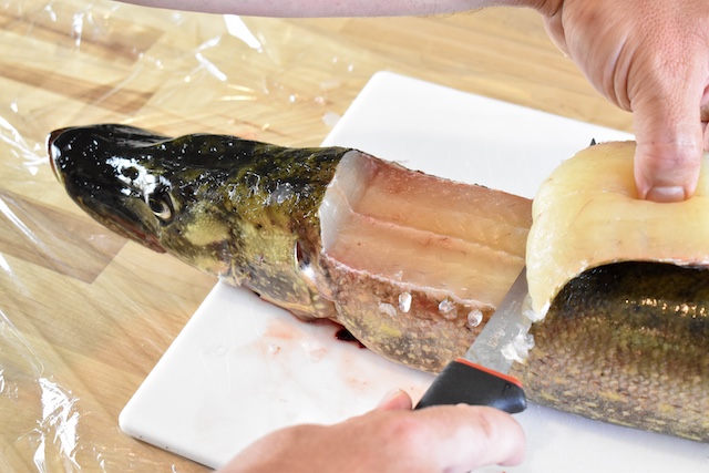 How to Break Down a Northern Pike - No Bones - The Intrepid Eater