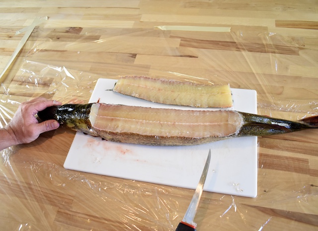 How to Break Down a Northern Pike - No Bones - The Intrepid Eater