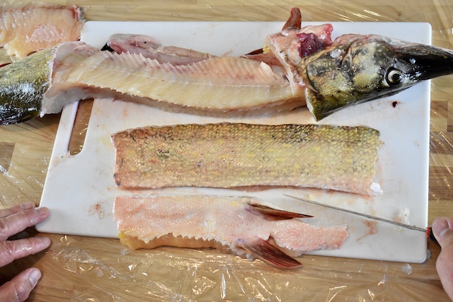 How to Break Down a Northern Pike - No Bones - The Intrepid Eater