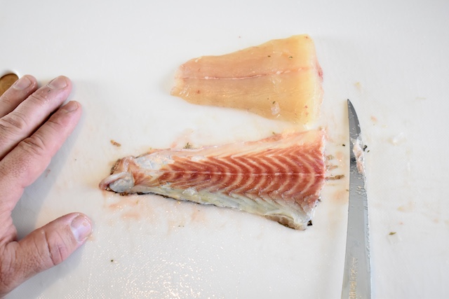 How to Break Down a Northern Pike - No Bones - The Intrepid Eater