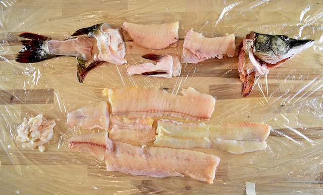 How to Break Down a Northern Pike - No Bones - The Intrepid Eater