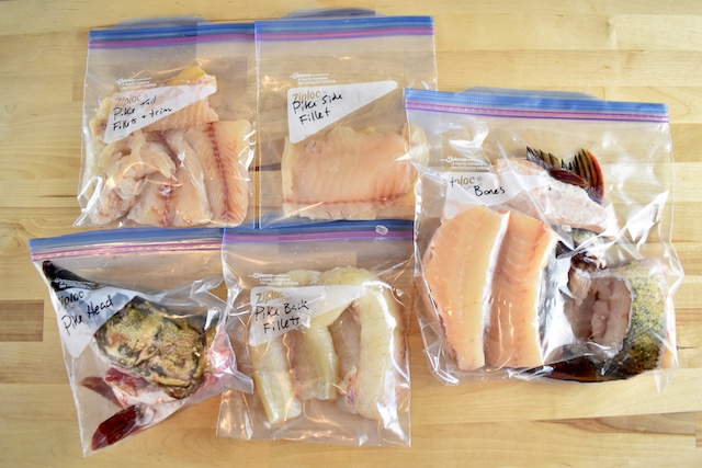 How to Break Down a Northern Pike - No Bones - The Intrepid Eater