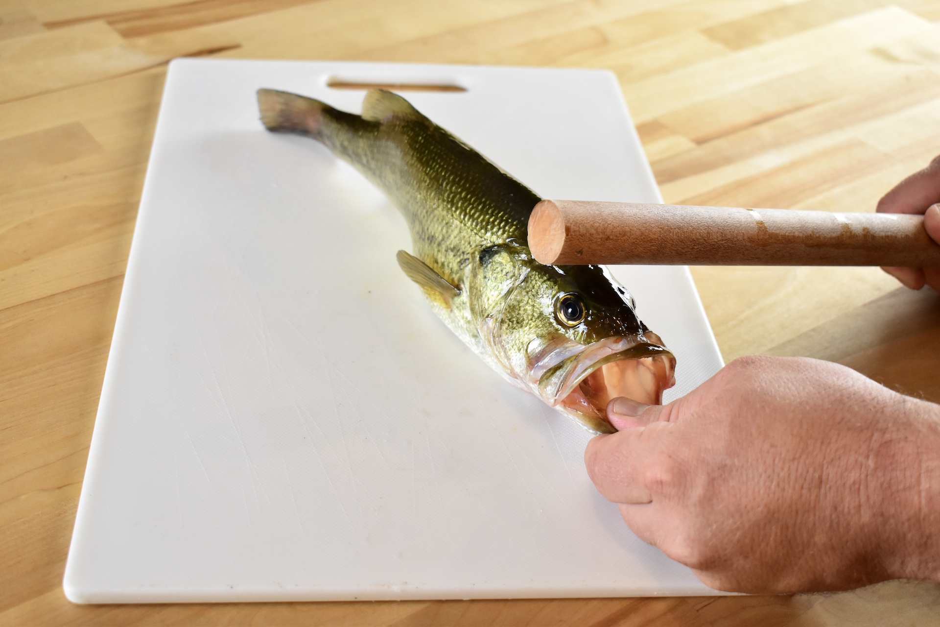 How to: Preparing a Whole Bass - The Intrepid Eater