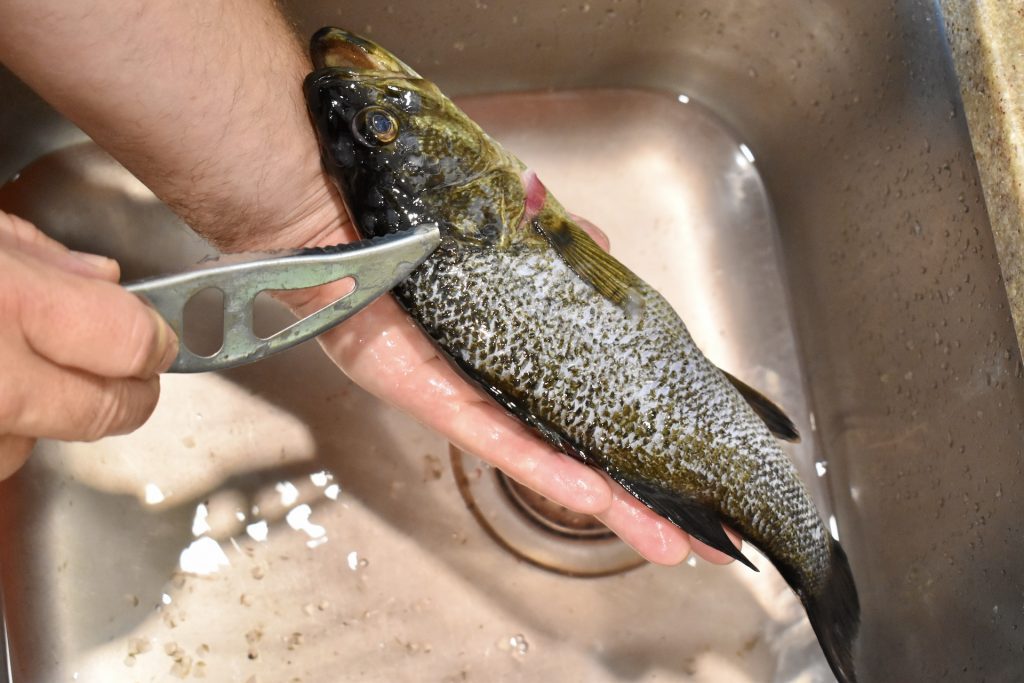 How to: Preparing a Whole Bass - The Intrepid Eater