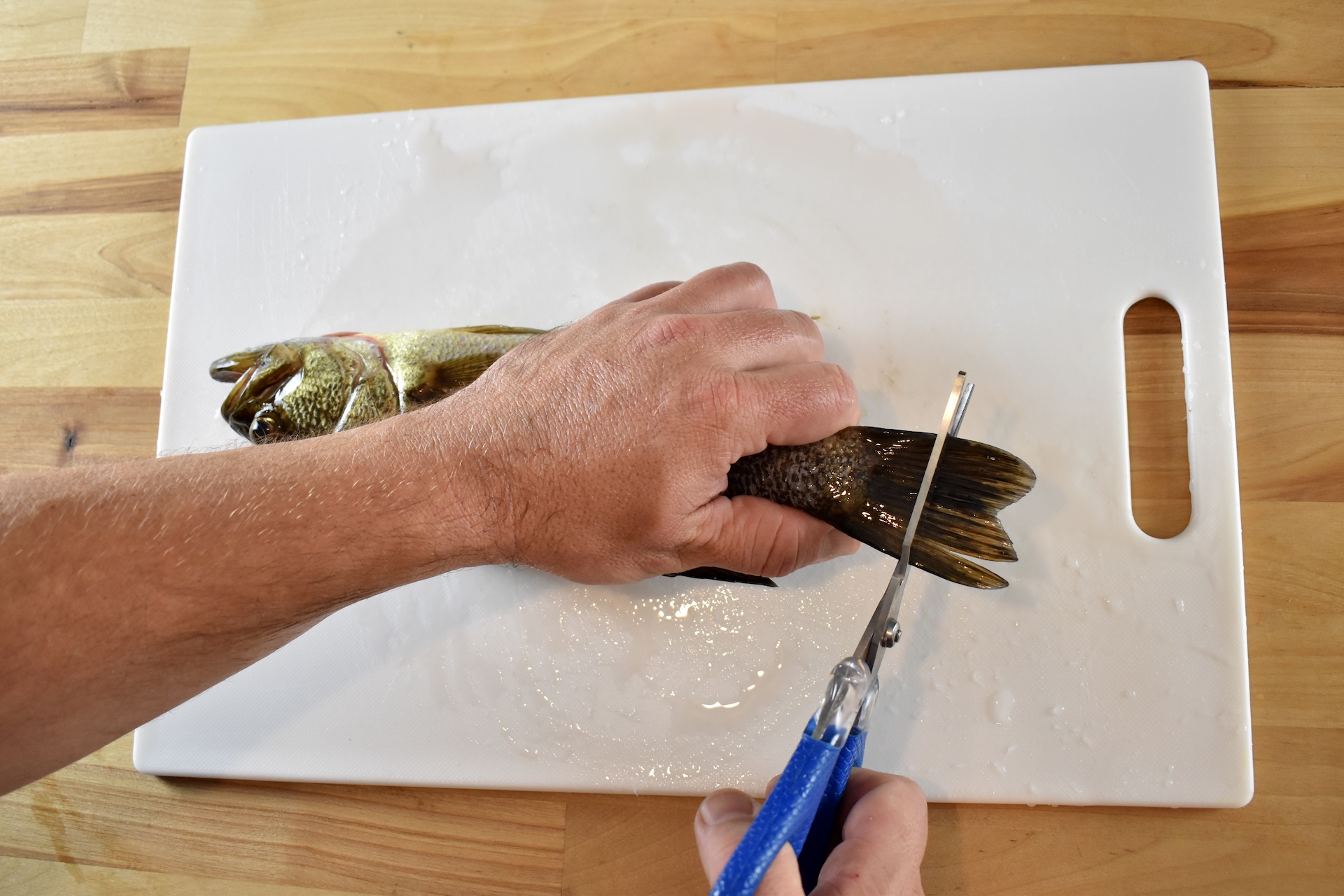 How to: Preparing a Whole Bass - The Intrepid Eater