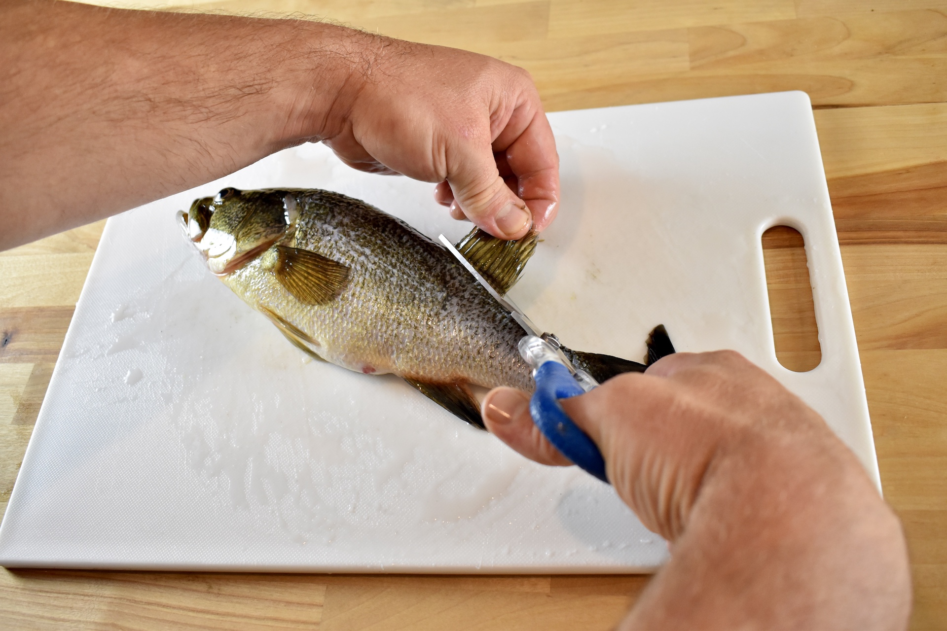 How to: Preparing a Whole Bass - The Intrepid Eater