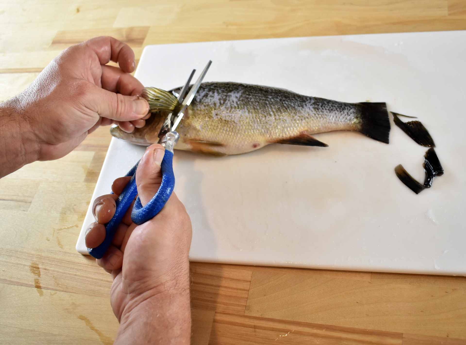 How to: Preparing a Whole Bass - The Intrepid Eater