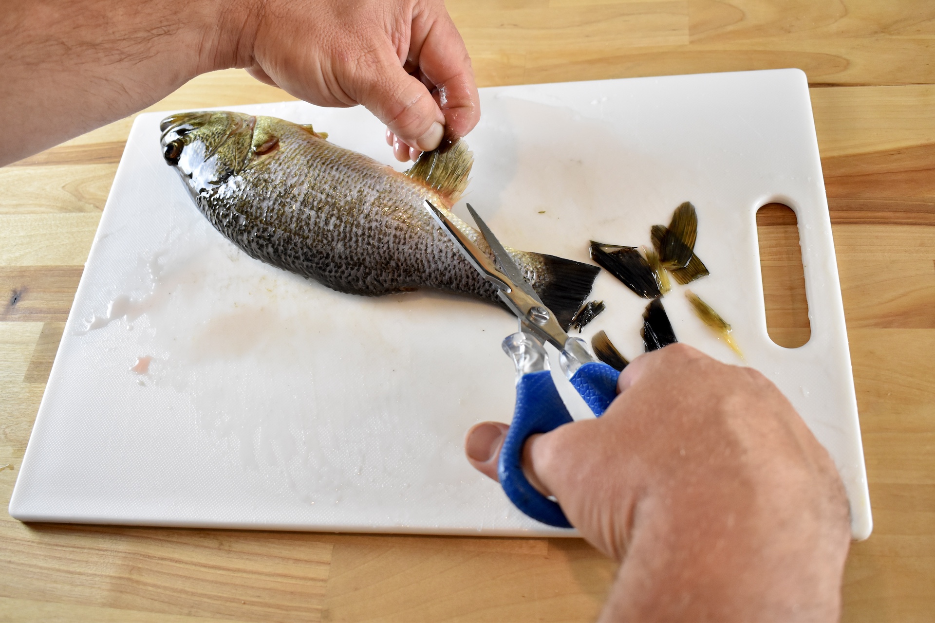 How to: Preparing a Whole Bass - The Intrepid Eater