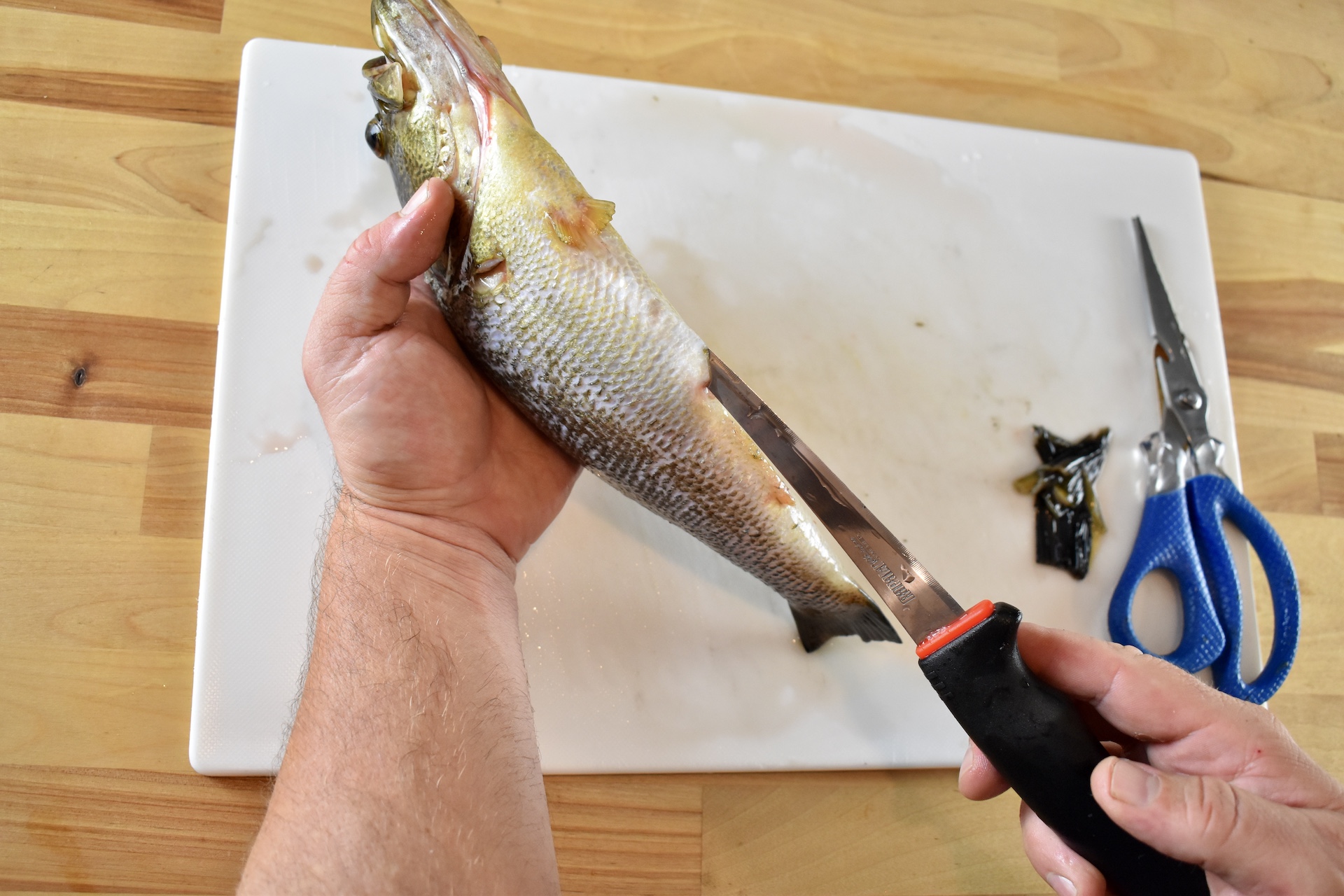 How to: Preparing a Whole Bass - The Intrepid Eater