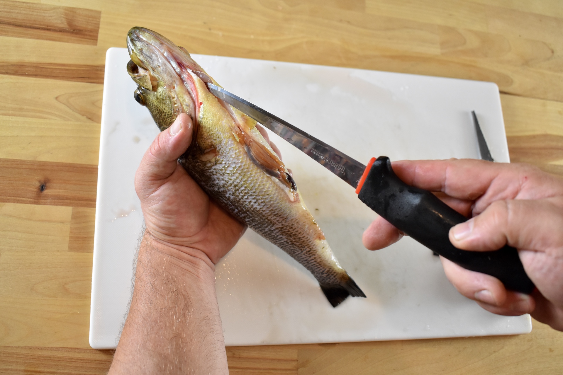 How to: Preparing a Whole Bass - The Intrepid Eater