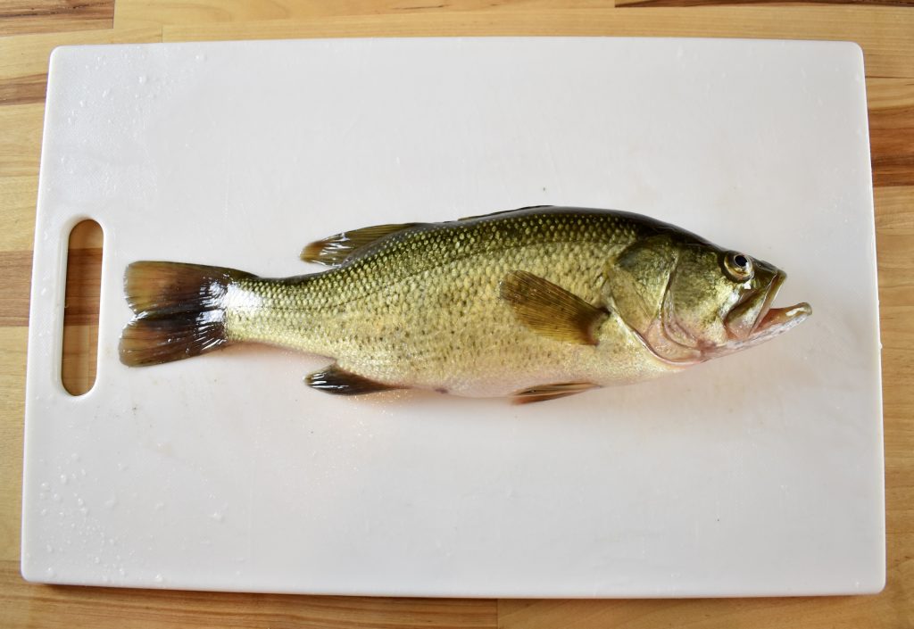 How to Fillet a Bass - How-to - The Intrepid Eater