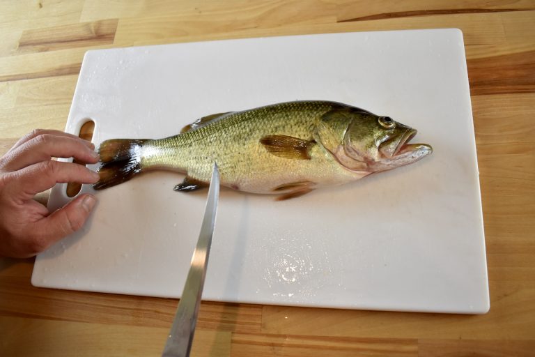 How to Fillet a Bass - How-to - The Intrepid Eater