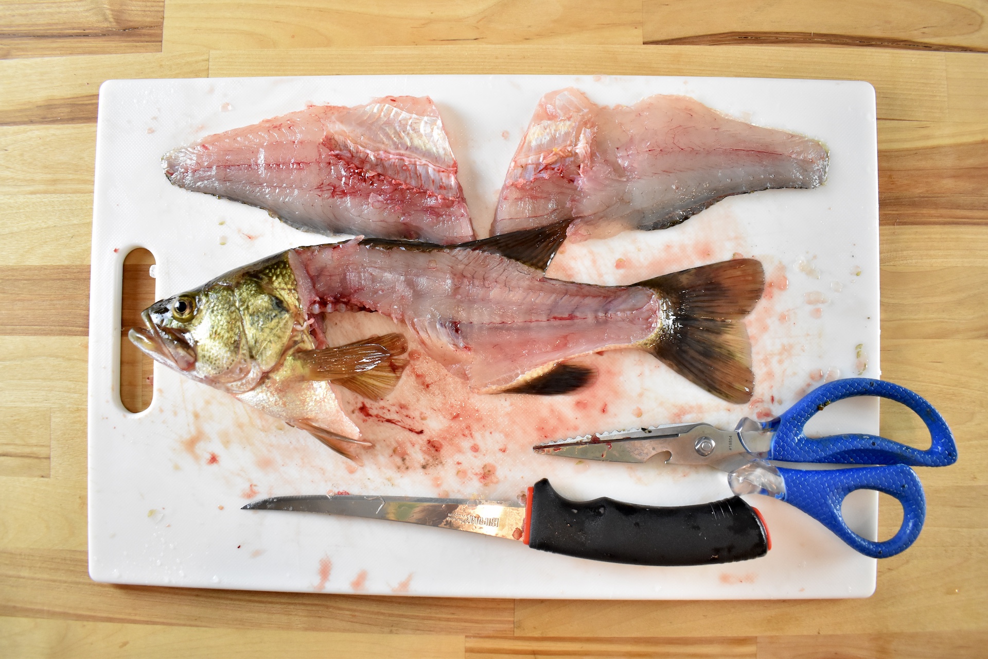 How to Fillet a Bass - How-to - The Intrepid Eater