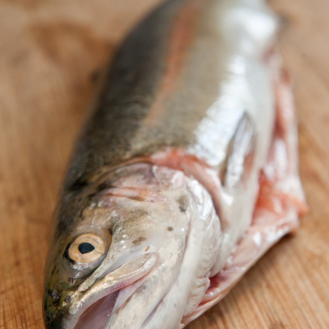 Tailgate Trout - Recipes - The Intrepid Eater