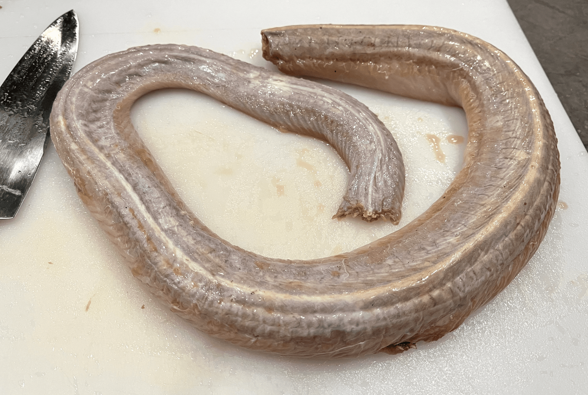 Xi'an Style Spicy Rattlesnake - Recipes - The Intrepid Eater