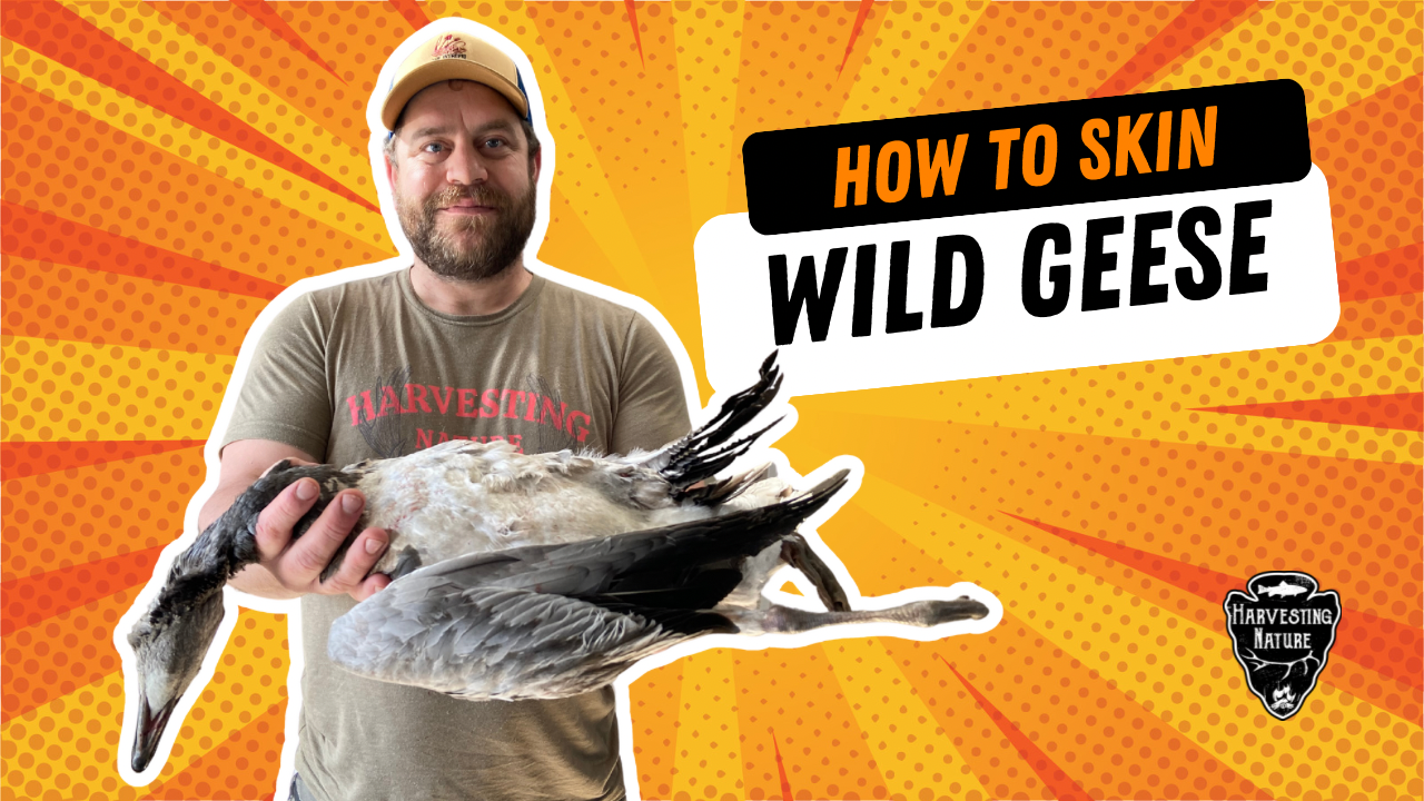 How to Skin a Goose - Video - The Intrepid Eater