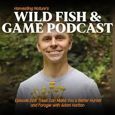 Wild Fish and Game Podcast: Trees Can Make You a Better Hunter and ...